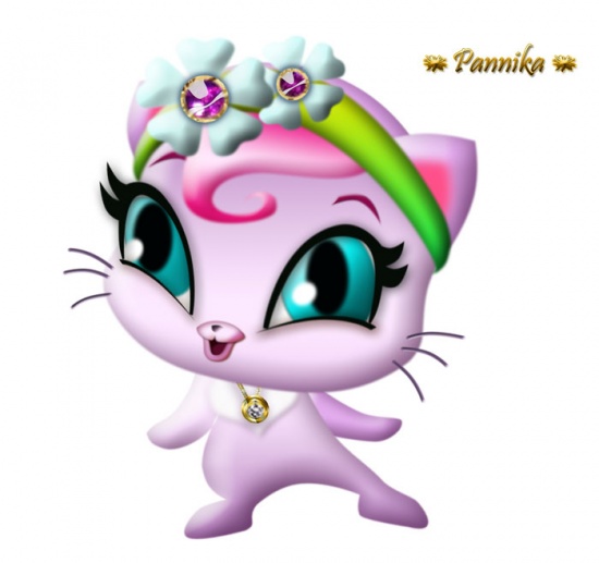 Coco - Питомцы - YouLoveIt.ru